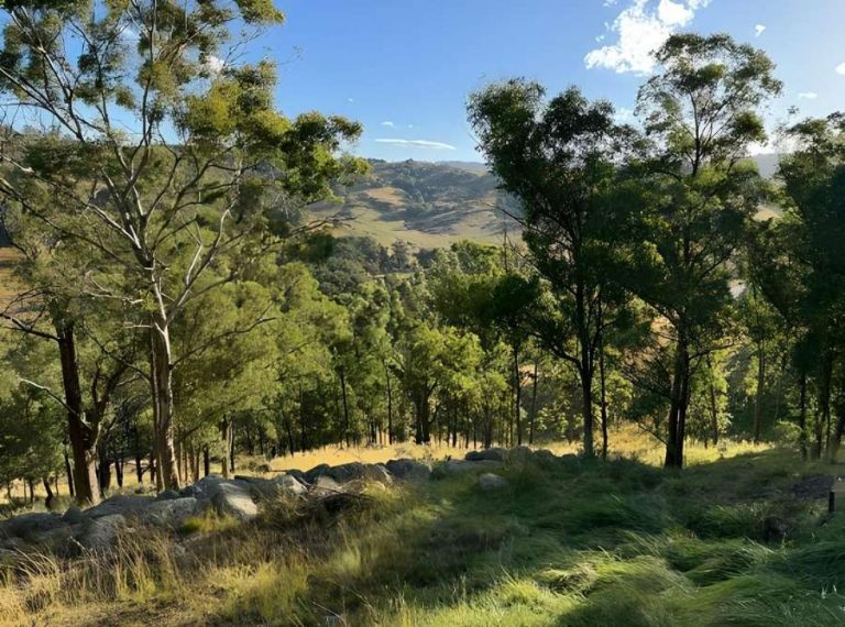 Middle Earth - Off Grid in the Kanimbla Valley | Lithgow Area Local News