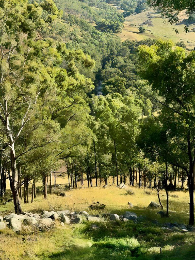 Middle Earth - Off Grid in the Kanimbla Valley | Lithgow Area Local News